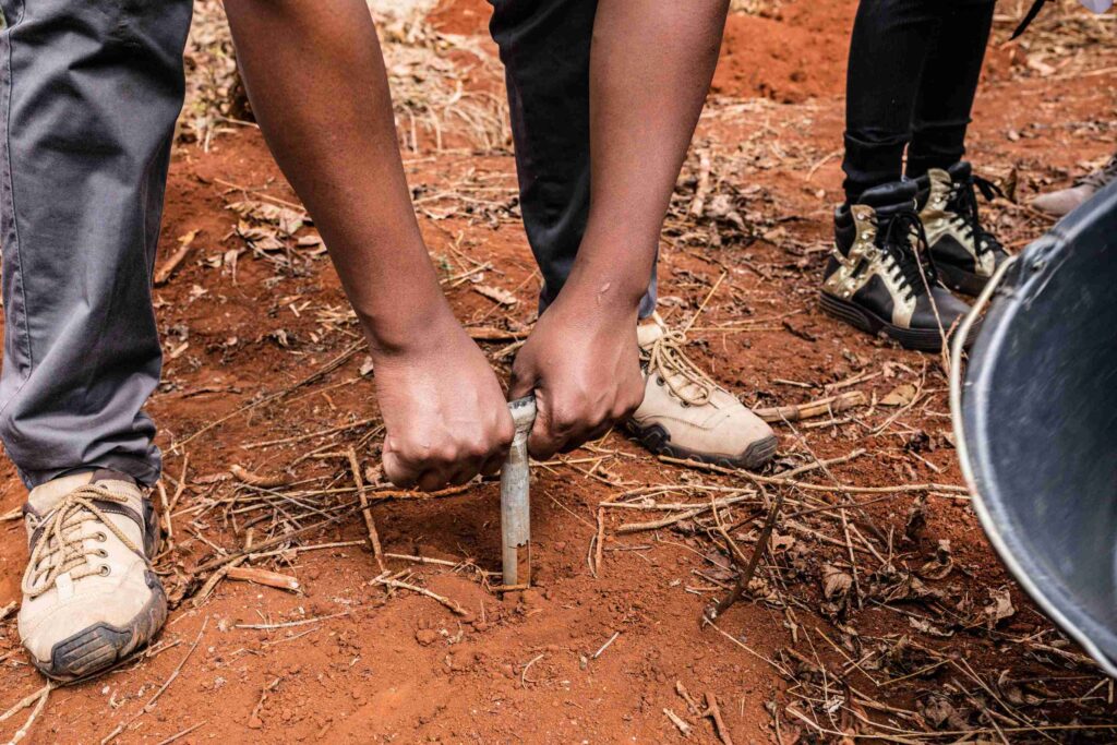 How Much Does A Perc Test Cost In Virginia?