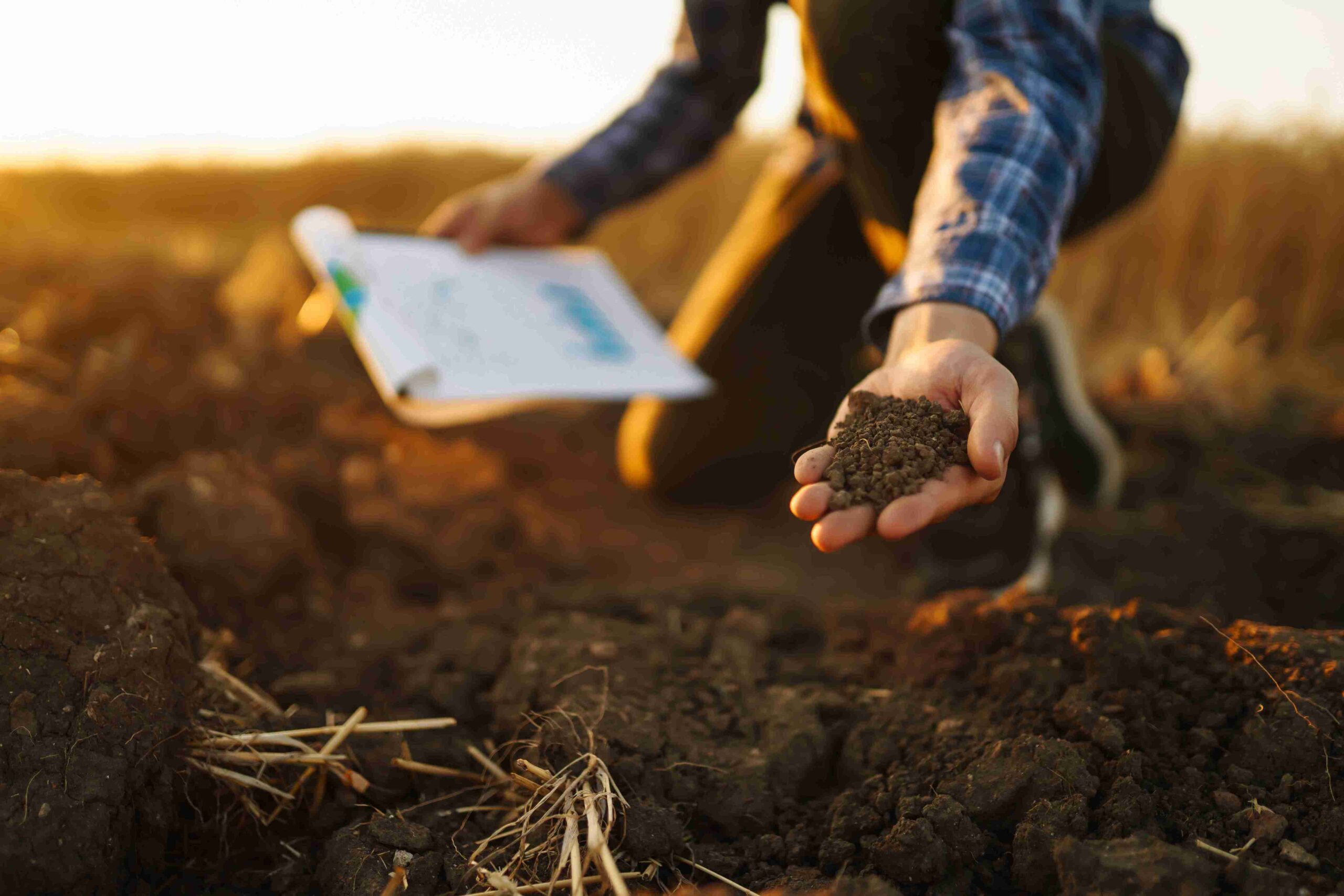 How Long Is A Perc Test Good For? (Guide)