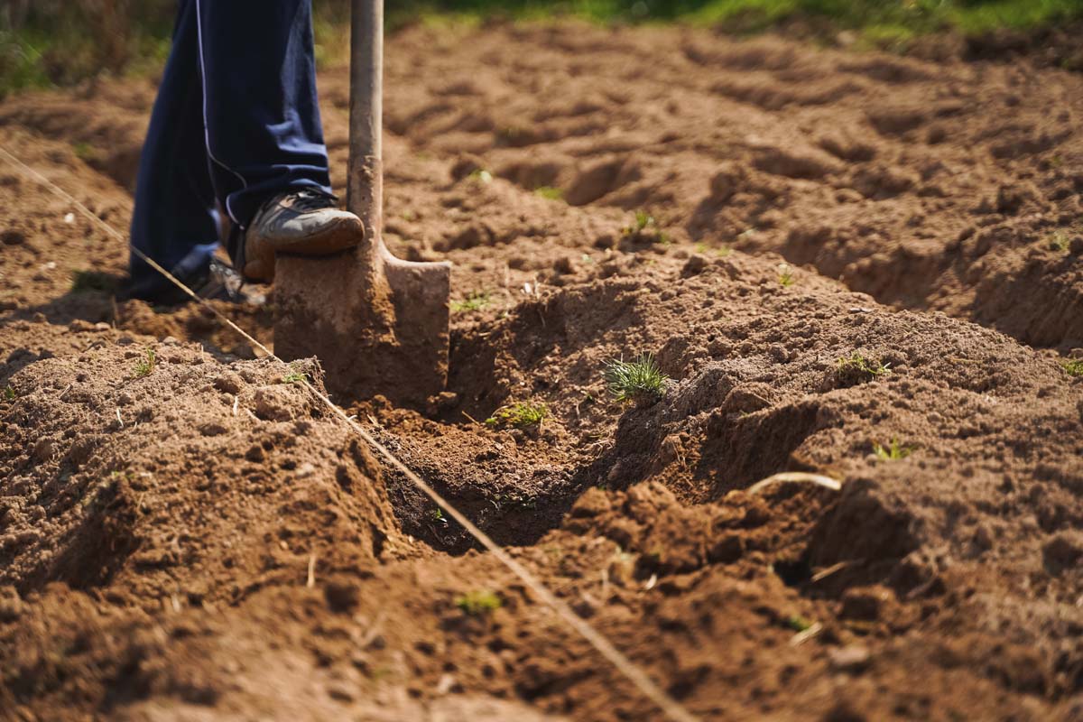 How Much Does A Soil Test Cost In Virginia?